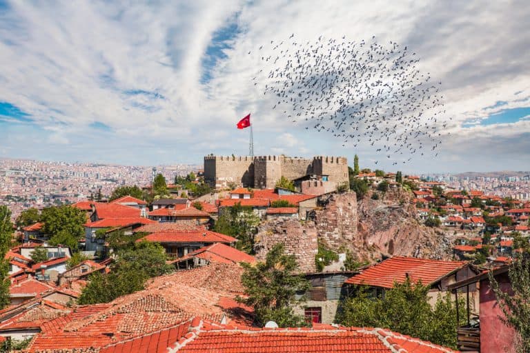 Türkiye’nin Nehirleri Hakkında Bilmeniz Gerekenler - En Uzun 10 Irmak