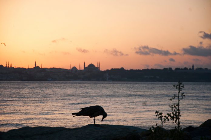 Kadıköy ve Moda'da Gezilecek En İyi Yerler : Kadıköy Gezi Rehberi